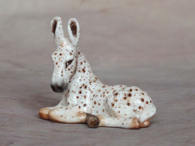 Boris - CMG Chestnut Appaloosa