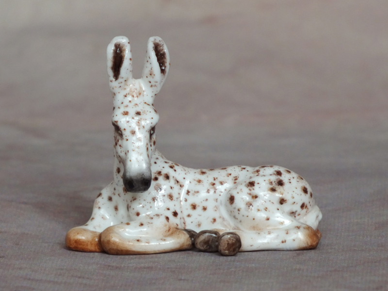 Boris - CMG Chestnut Appaloosa